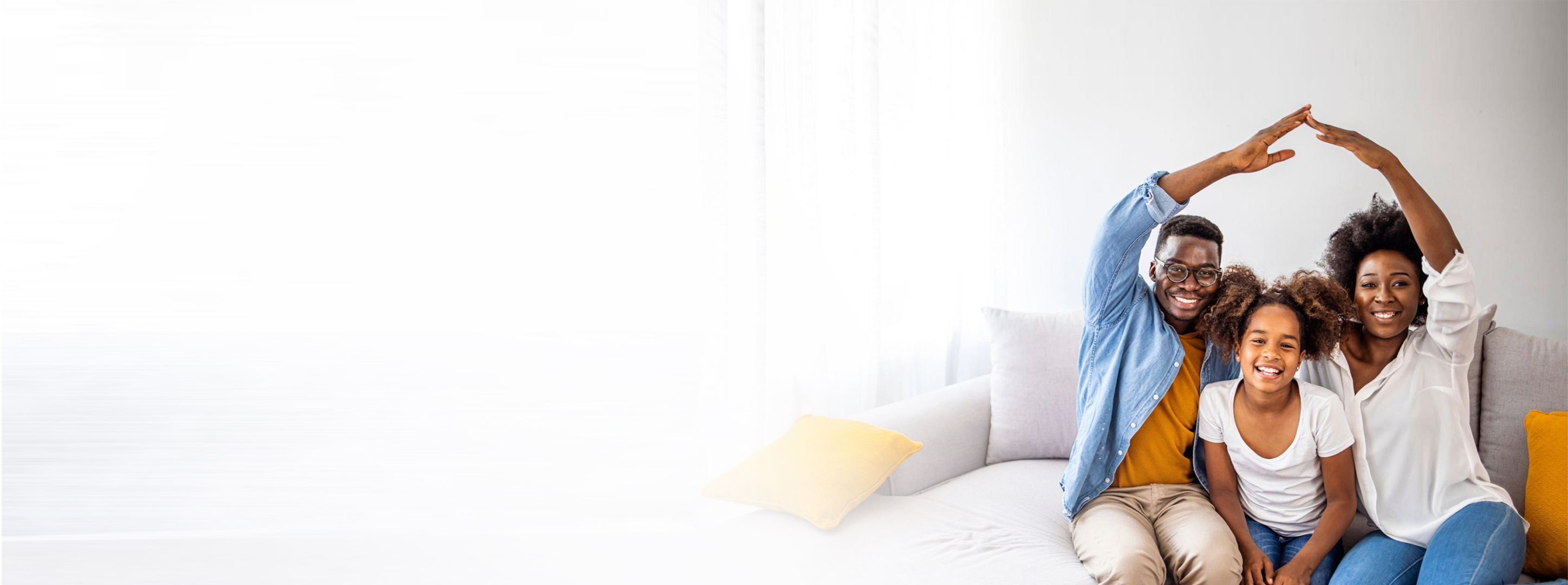 Zambia National Building Society